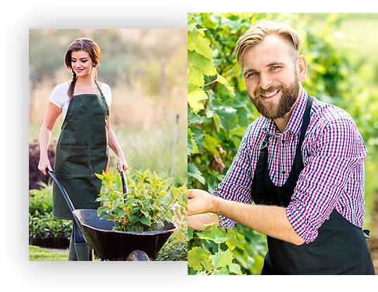 Info for Growers - GrowGreen Fertiliser